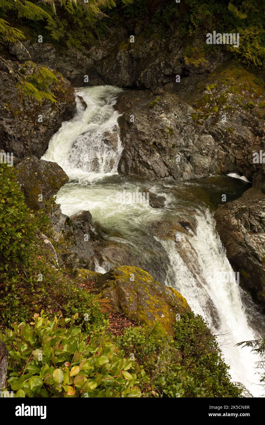 WA22158-00...WASHINGTON - The Wallace River in a narrow gully cascading ...