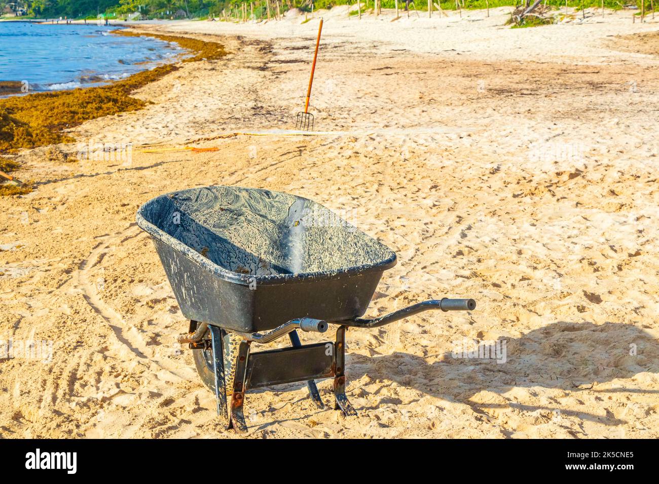 Cleaning the beach with wheelbarrow pitchfork Garden Rake Leaf Broom ...