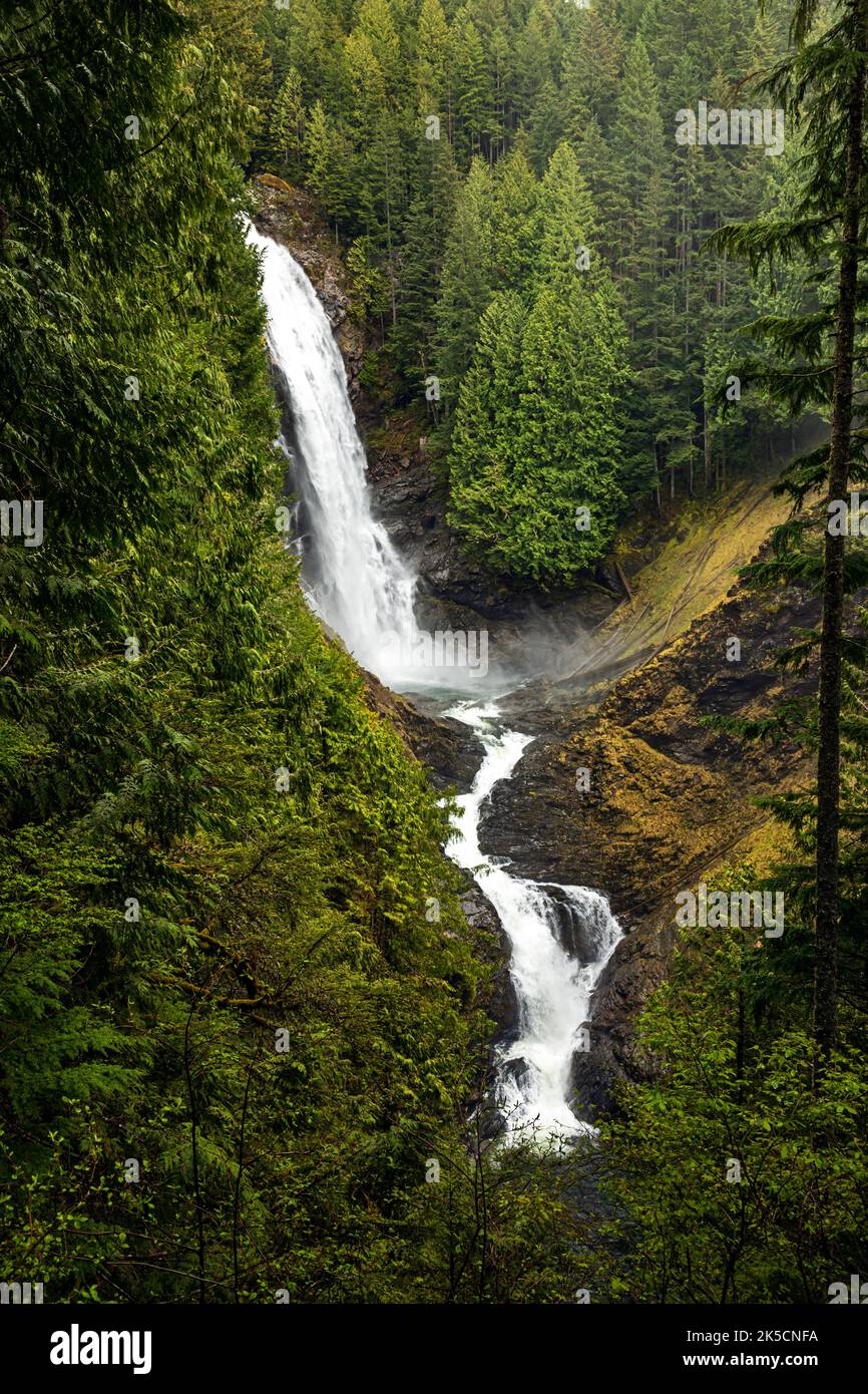 WA22162-00...WASHINGTON - Middle Wallace falls at Wallace Falls State ...