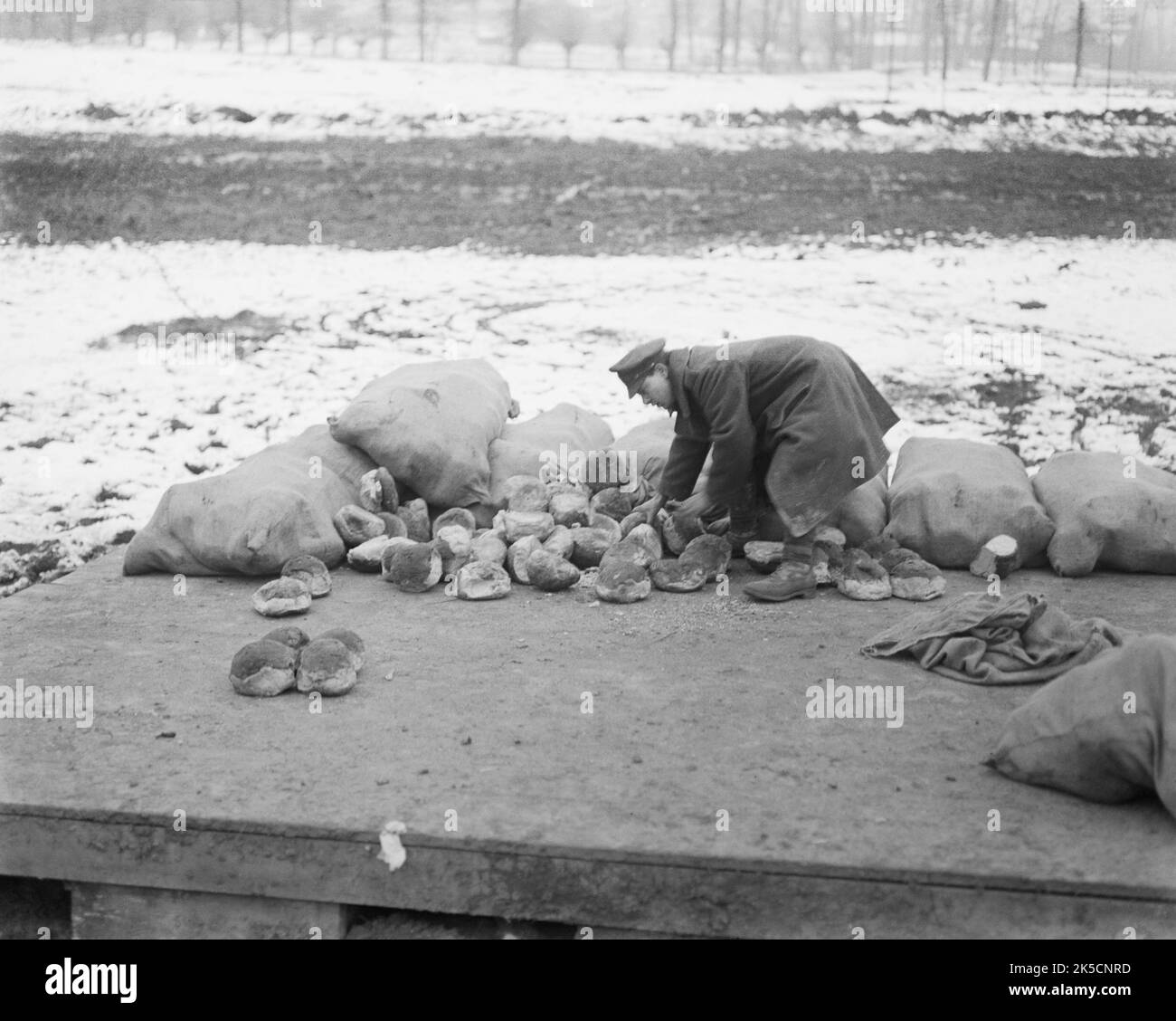 The Army Service Corps on the Western Front, 1914-1918 Stock Photo - Alamy