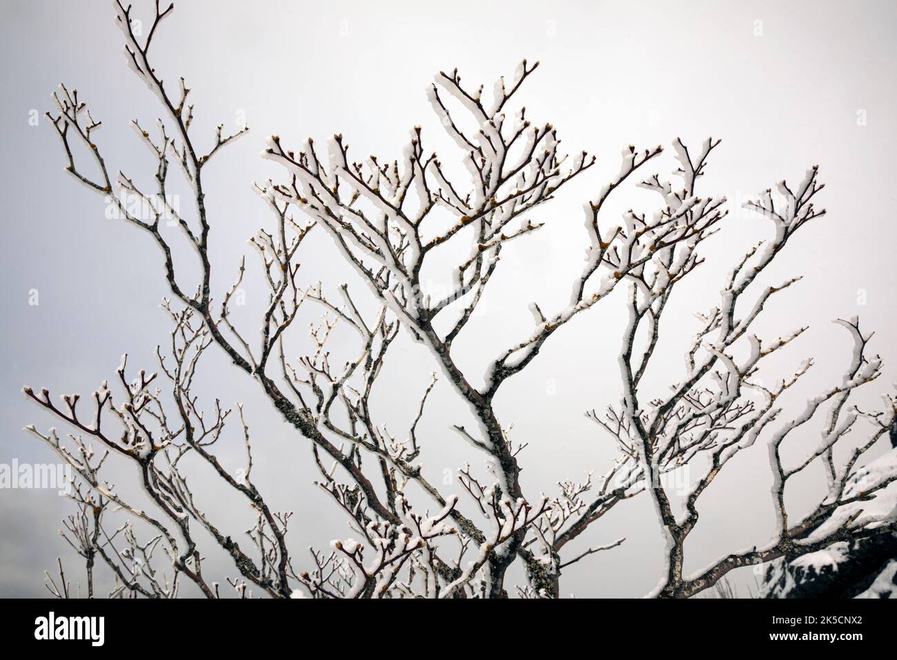 Mount si cascade foothills hi-res stock photography and images - Alamy