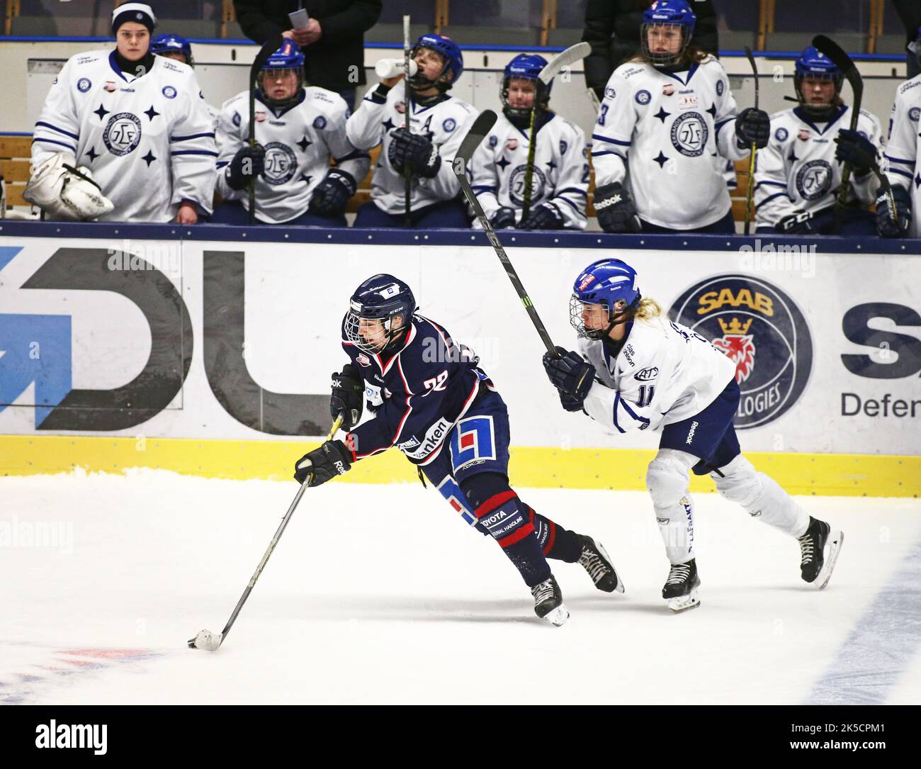 Linkoping hockey dam hi-res stock photography and images - Alamy