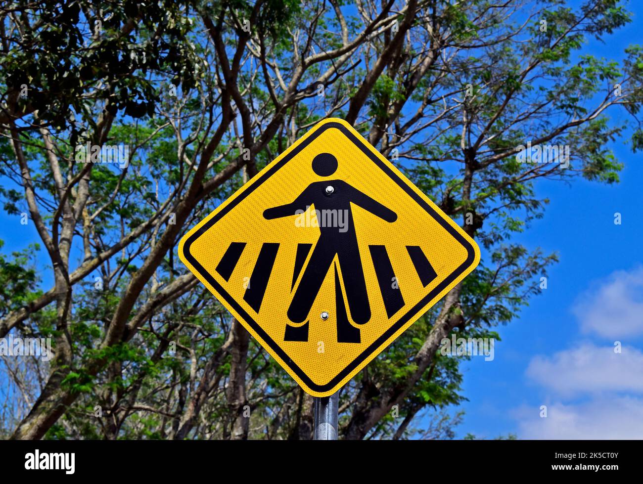 Street sign indicating pedestrian crossing, Rio Stock Photo - Alamy