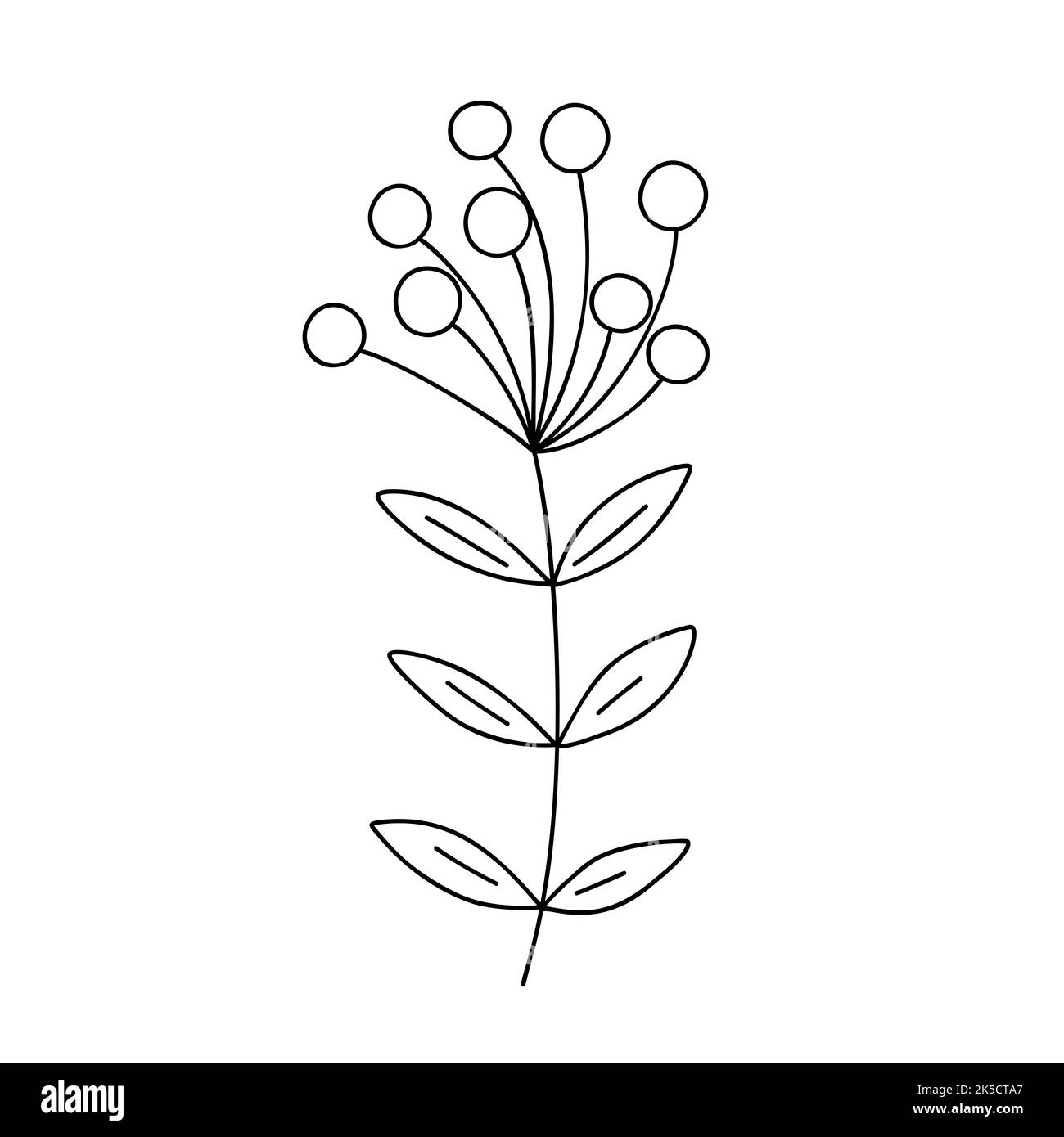 Outline plant decorative branch with leaves and berries for home decor ...