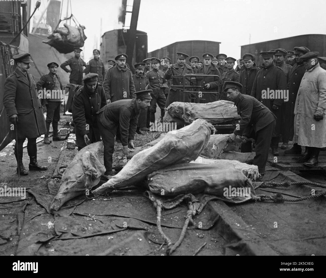 The Army Service Corps on the Western Front, 1914-1918 Stock Photo - Alamy