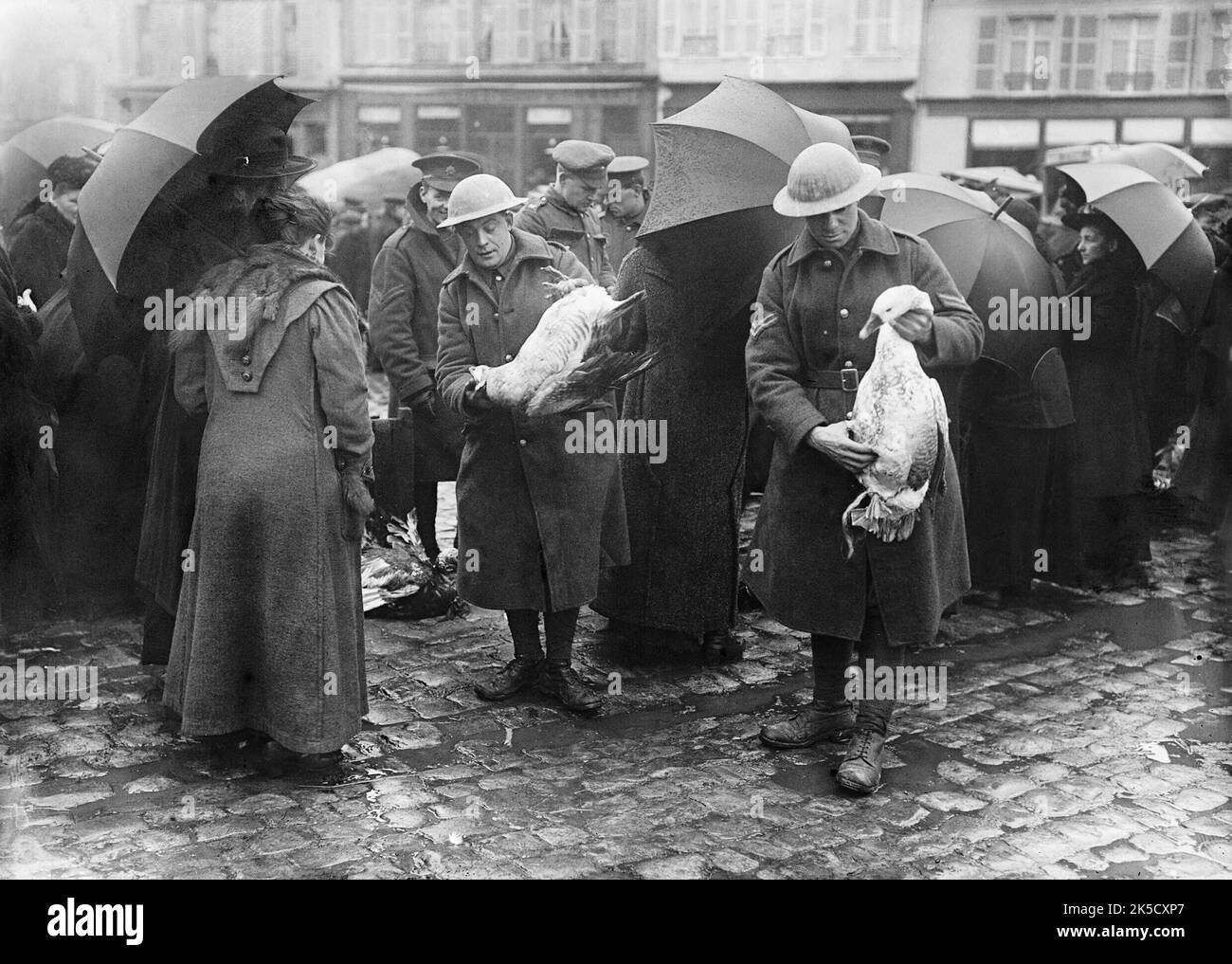 Christmas on the Western Front, 1914-1918 Stock Photo - Alamy