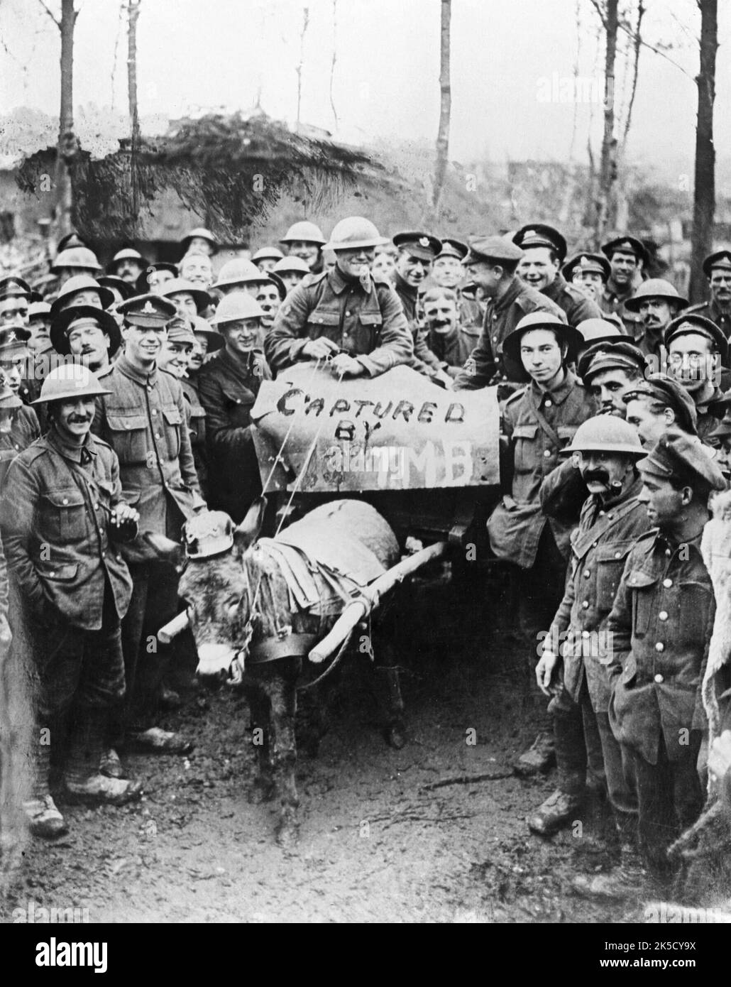 The Battle of Cambrai, November-december 1917 Stock Photo - Alamy