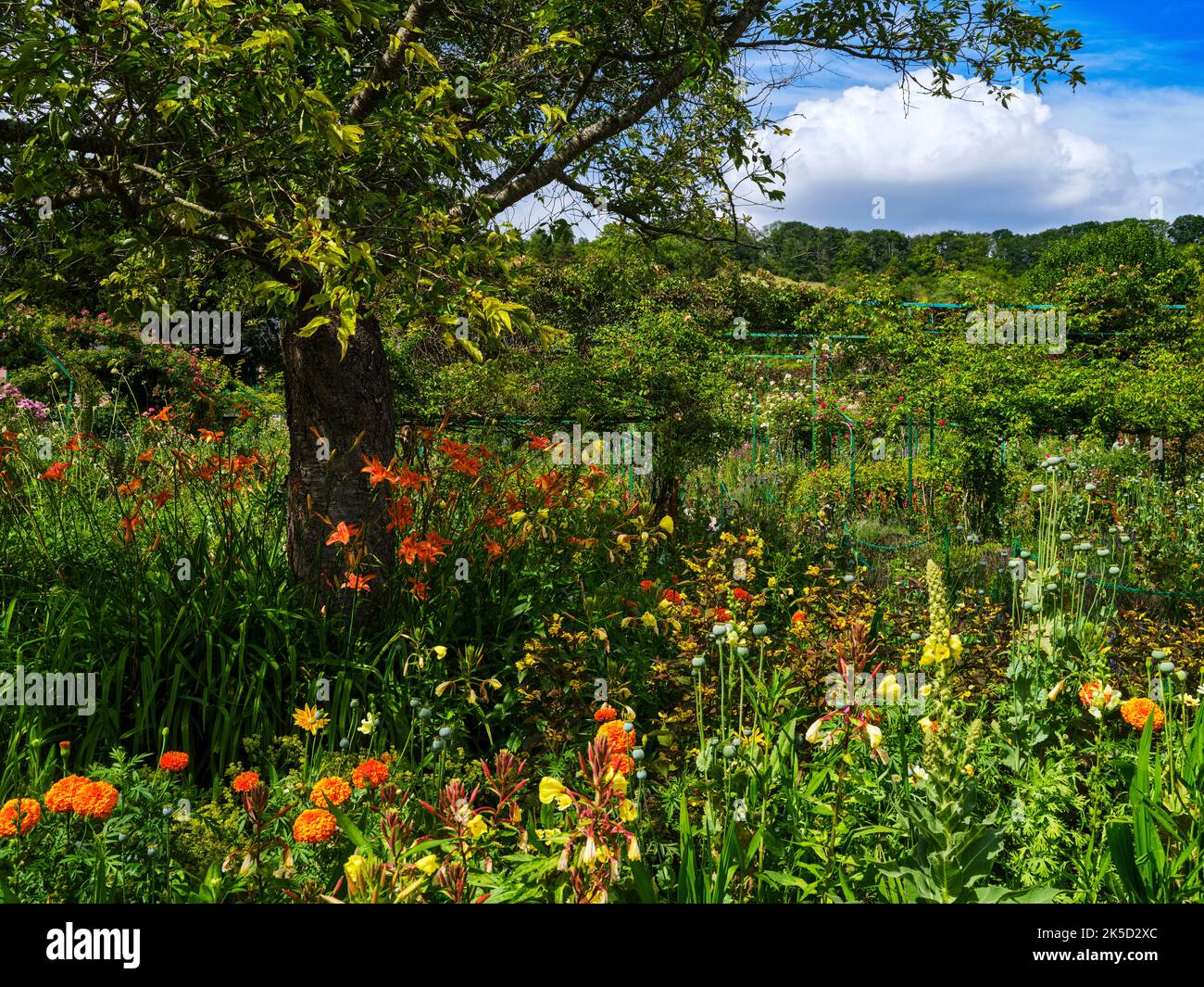 Garden Claude Monet, Giverny, Normandy, France Stock Photo - Alamy