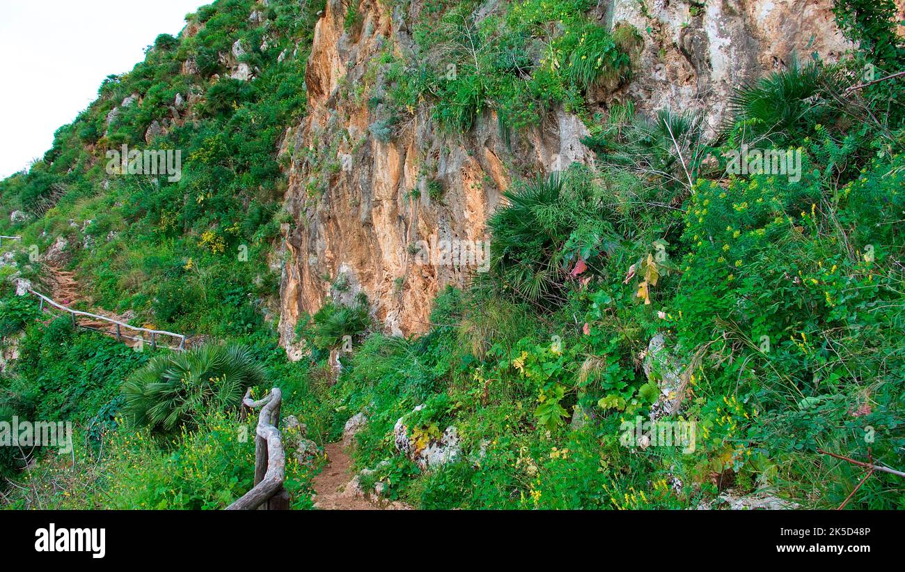 Italy, Sicily, Zingaro National Park, spring, hiking trail, dense green ...