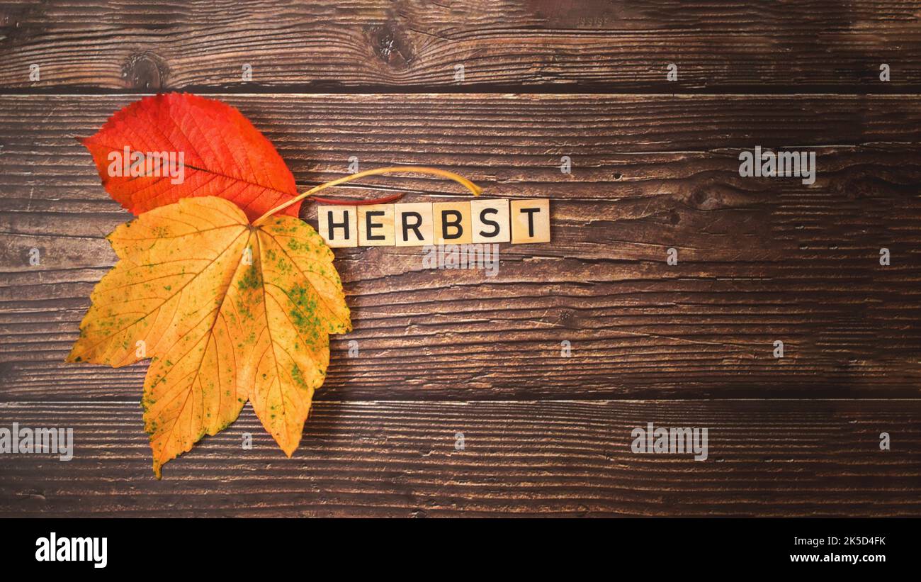 Letters leaves hi-res stock photography and images - Alamy
