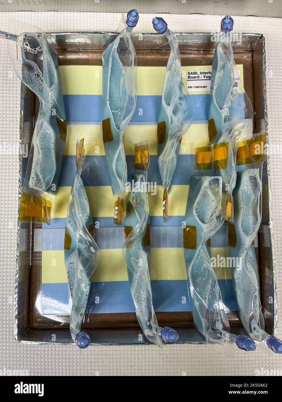 Preflight images of BioNutrients-2 Yogurt Bags on SABL Tray Mockup ...