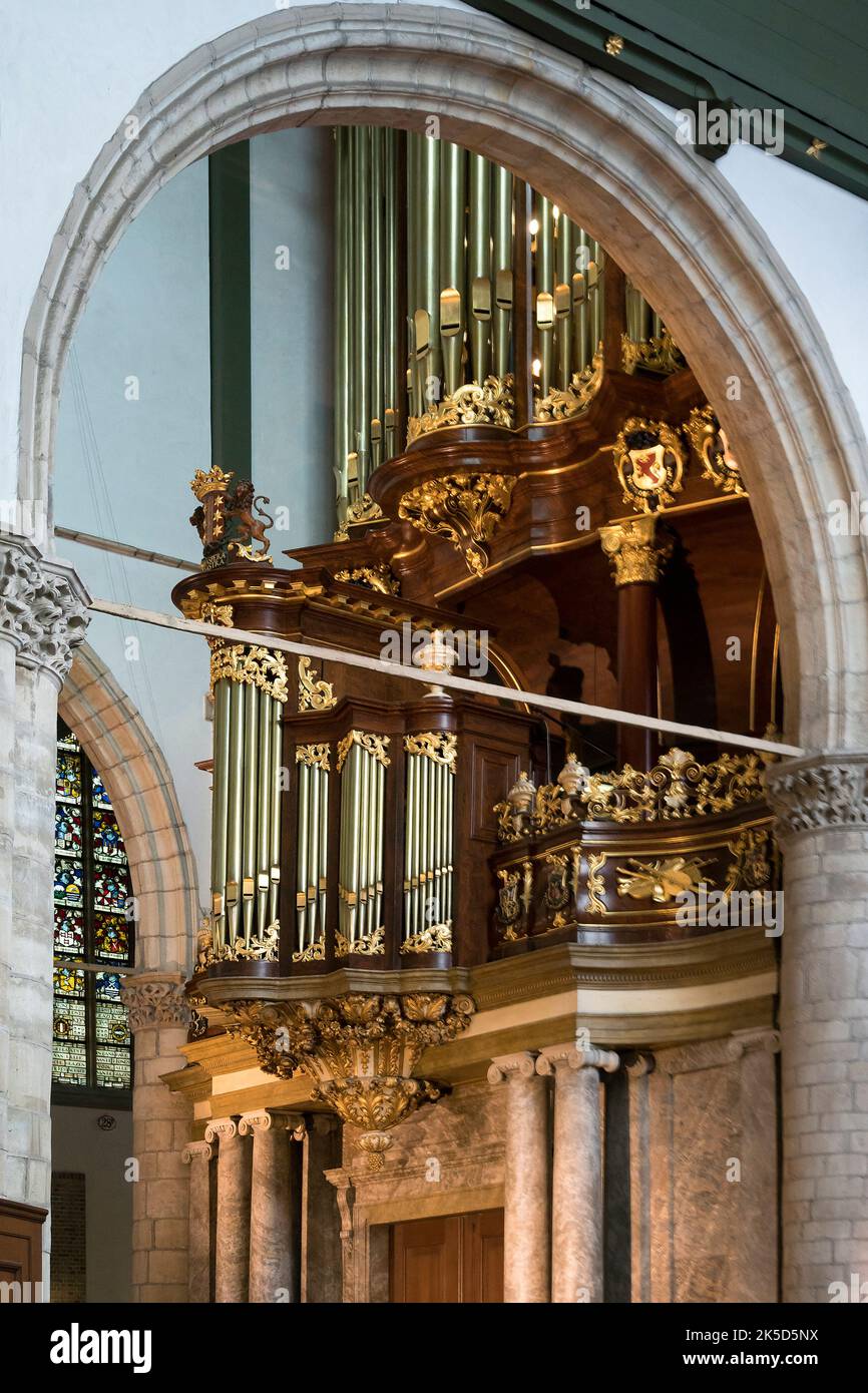 Netherlands, Gouda, Sint Janskerk, organ Stock Photo - Alamy