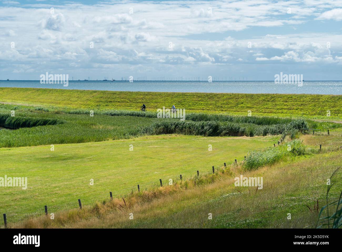Netherlands, Texel, east coast, dike, bike path Stock Photo - Alamy