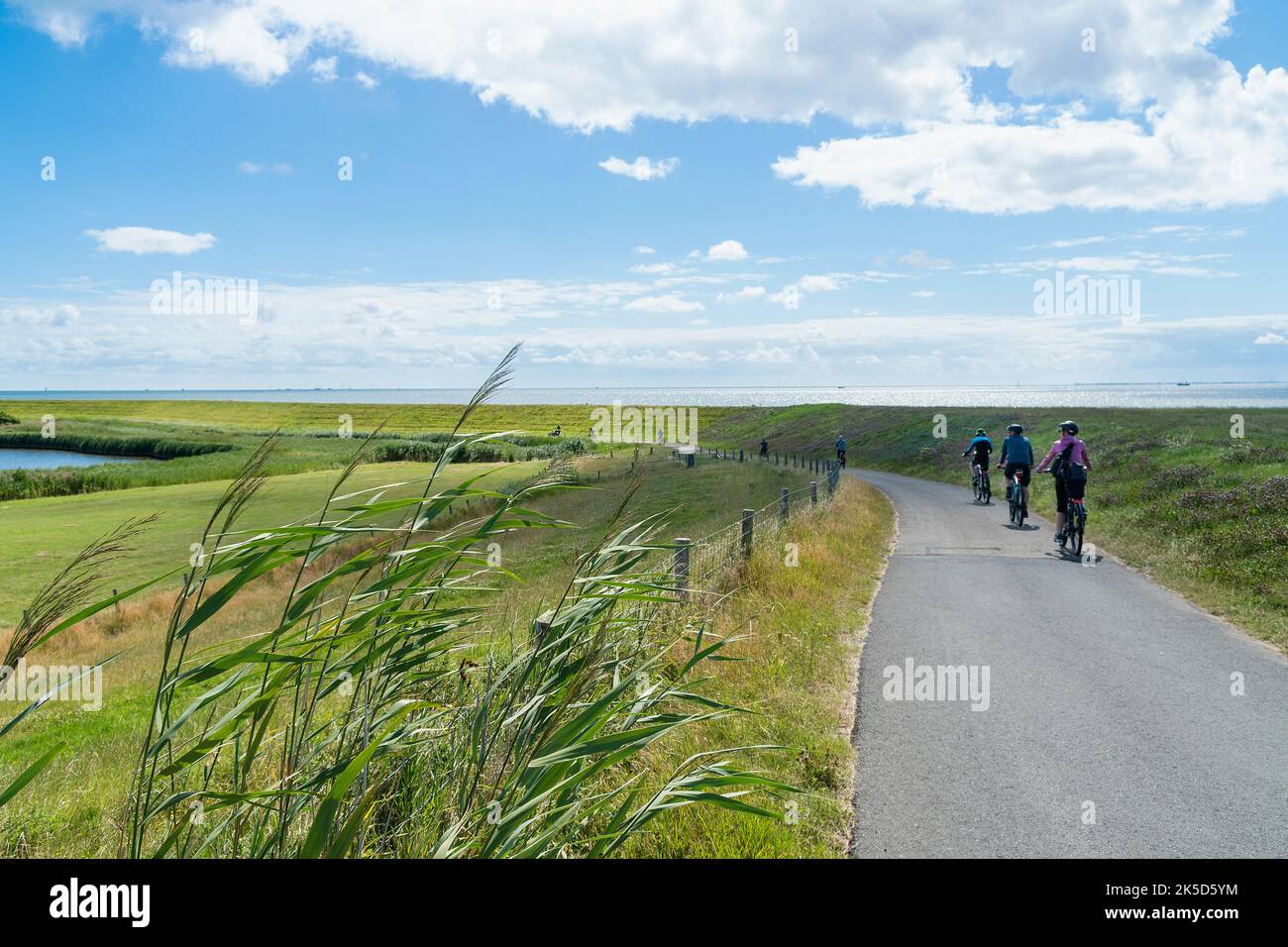 Netherlands, Texel, east coast, dike, bike path, cyclists Stock Photo ...