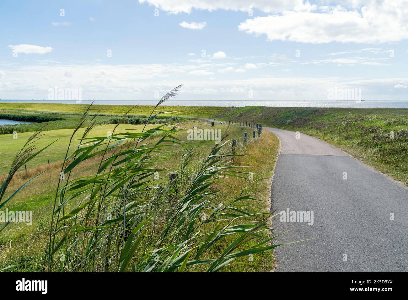 Netherlands, Texel, east coast, dike, bike path Stock Photo - Alamy
