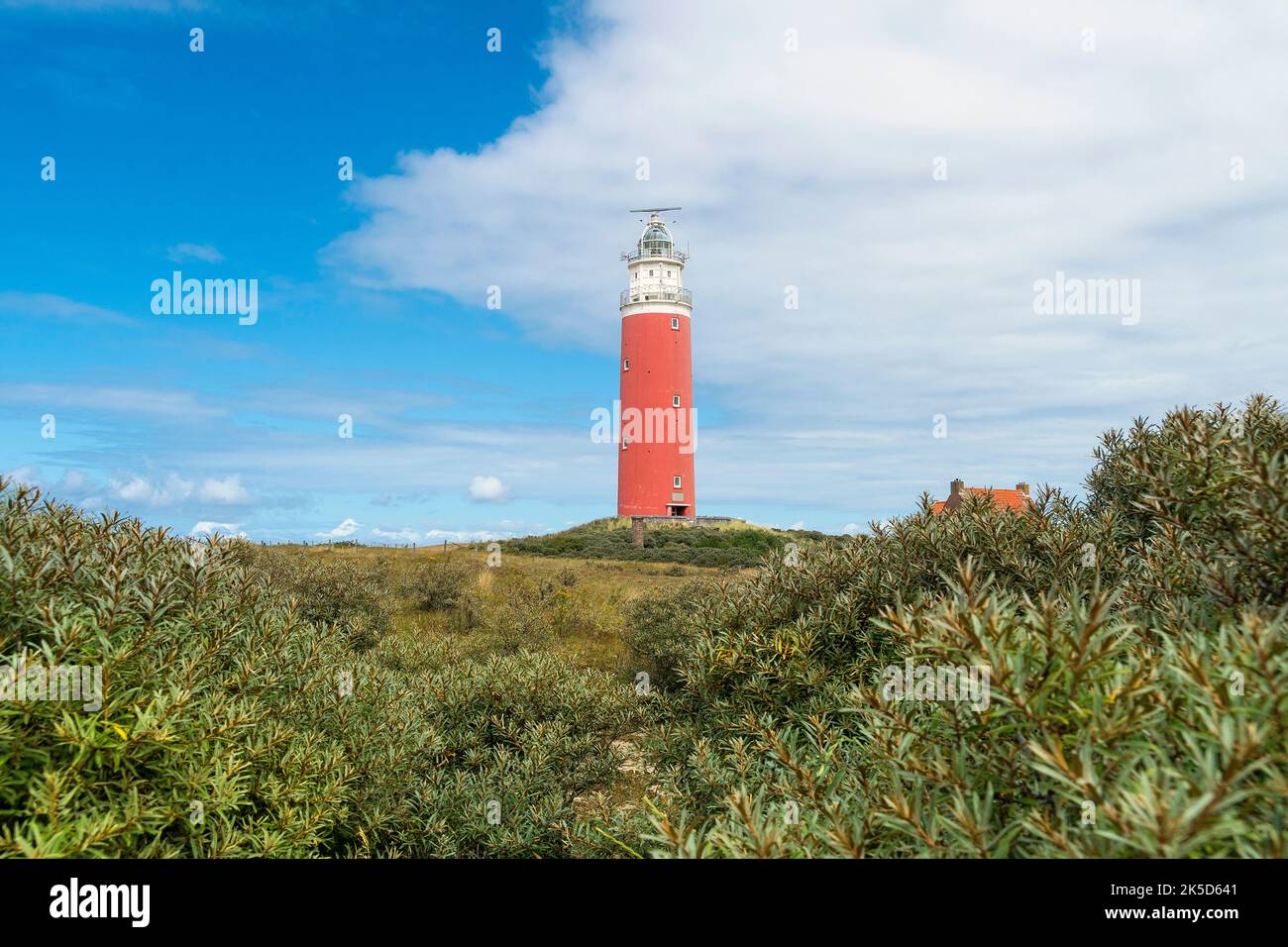 Netherlands, Texel, Eierlandse Duinen, lighthouse Texel Stock Photo - Alamy
