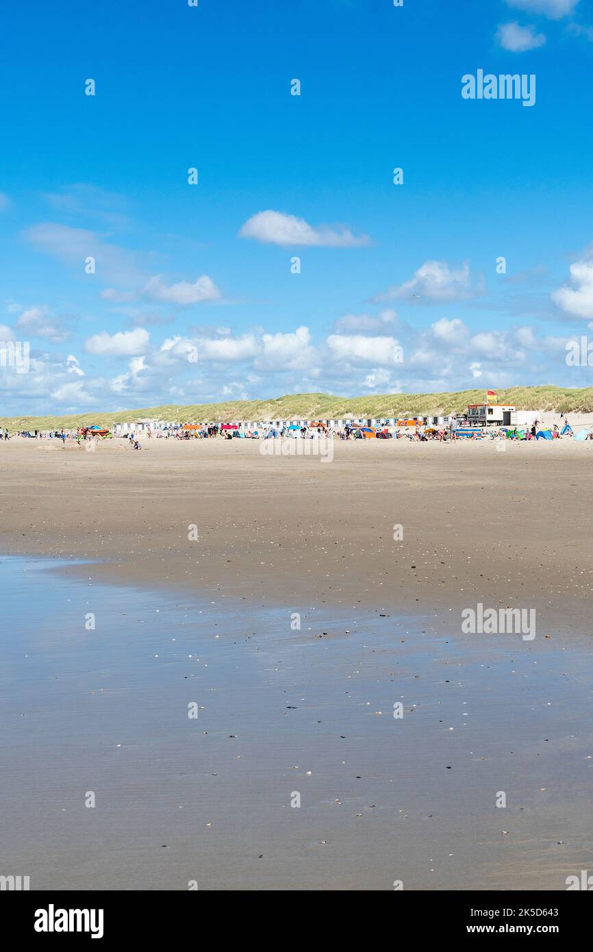 Netherlands, Texel, bathing beach behind Texel Dunes National Park ...