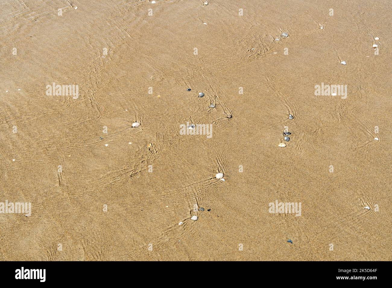 Netherlands, Texel, west coast, beach, shallow water with refexions in ...