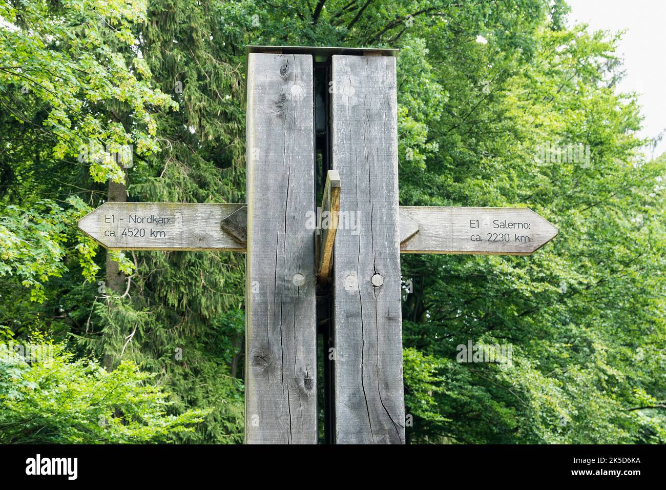 Germany, Teutoburg Forest, Externsteine, hiking trail crossing, wooden ...