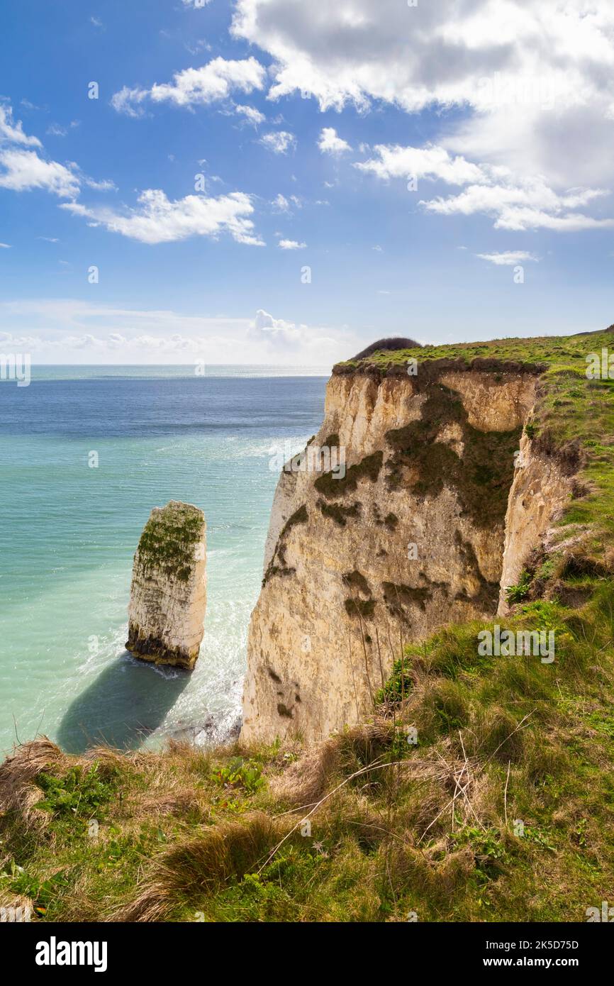 View of the Pinnacles rock. Old Harry Rocks, Handfast Point, Isle of ...