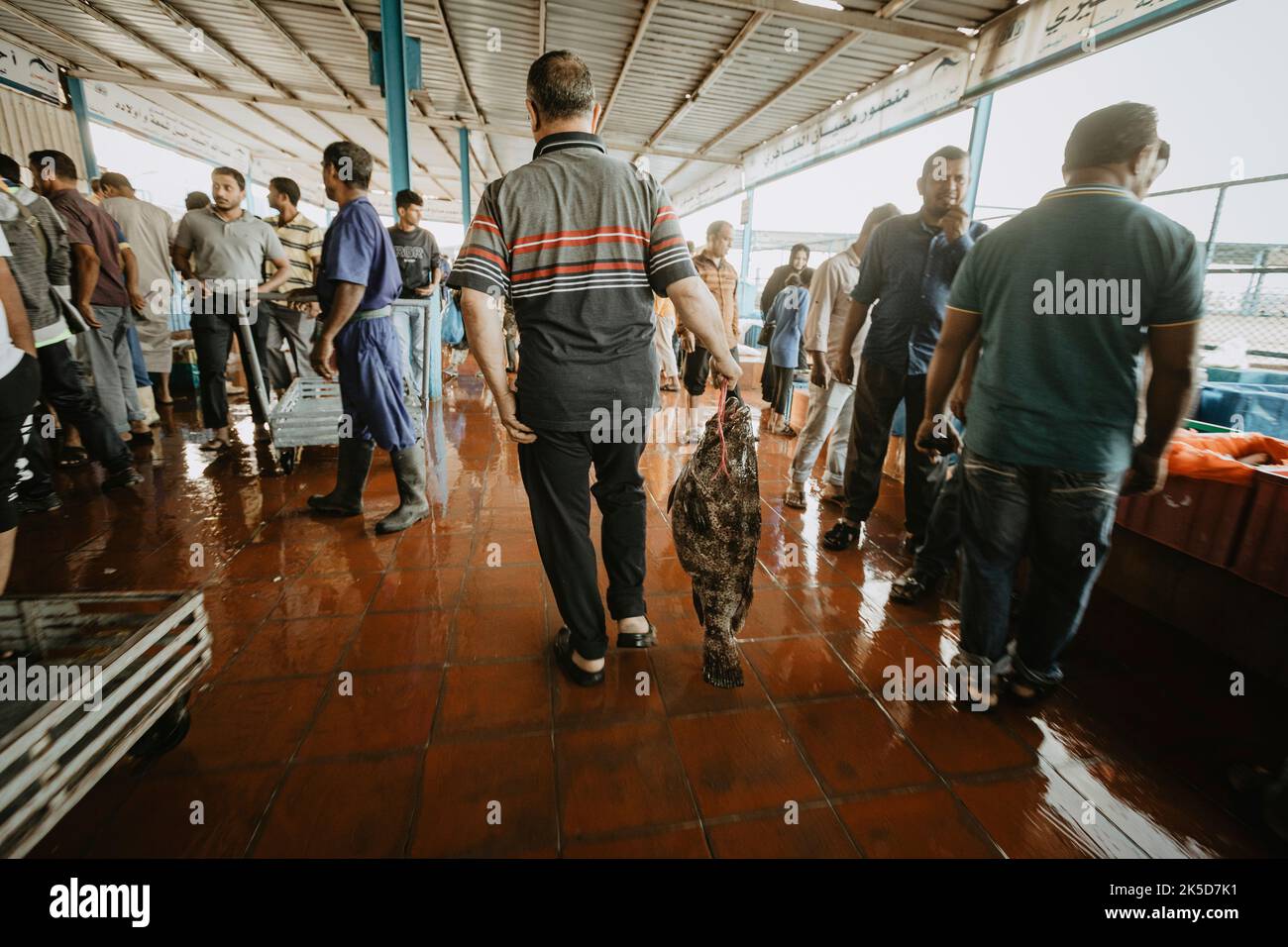 Saudi Arabia, Mecca province, Jeddah/Jeddah, fish market, trade Stock ...