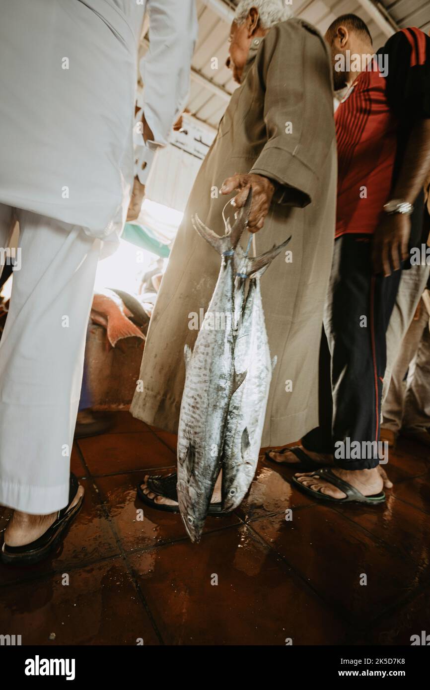 Saudi Arabia, Mecca province, Jeddah/Jeddah, fish market, trade, men ...