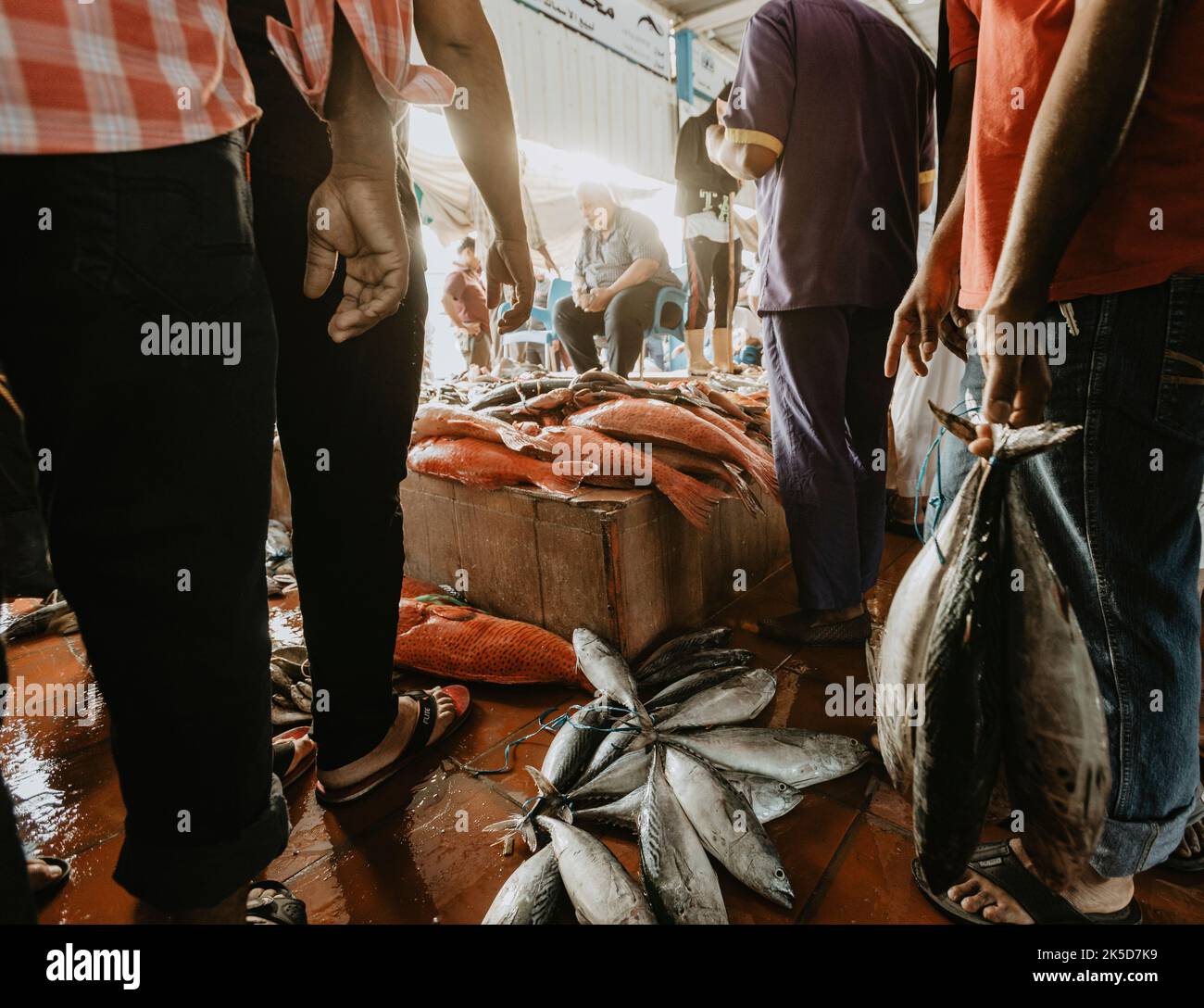 Saudi Arabia, Mecca province, Jeddah/Jeddah, fish market, trade, Crowd ...