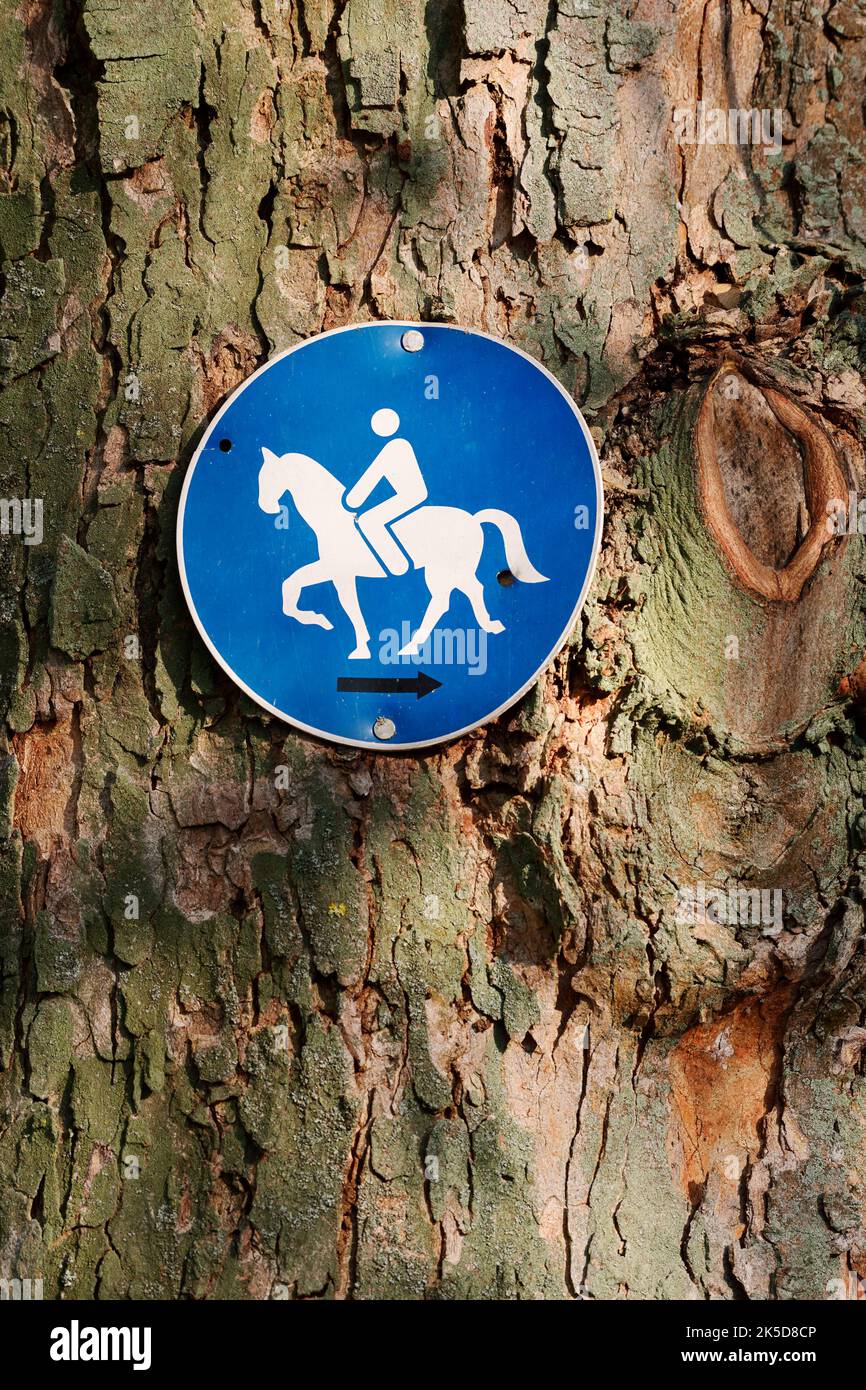 Road sign riding path on a tree, North Rhine-Westphalia, Germany Stock ...