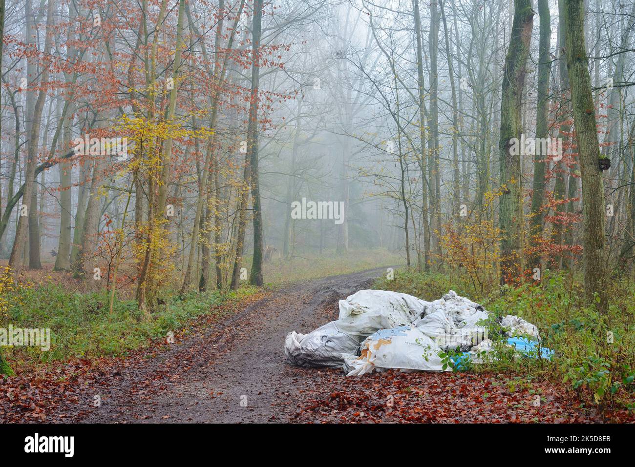 Environmental pollution, illegal waste disposal on a forest path, North ...