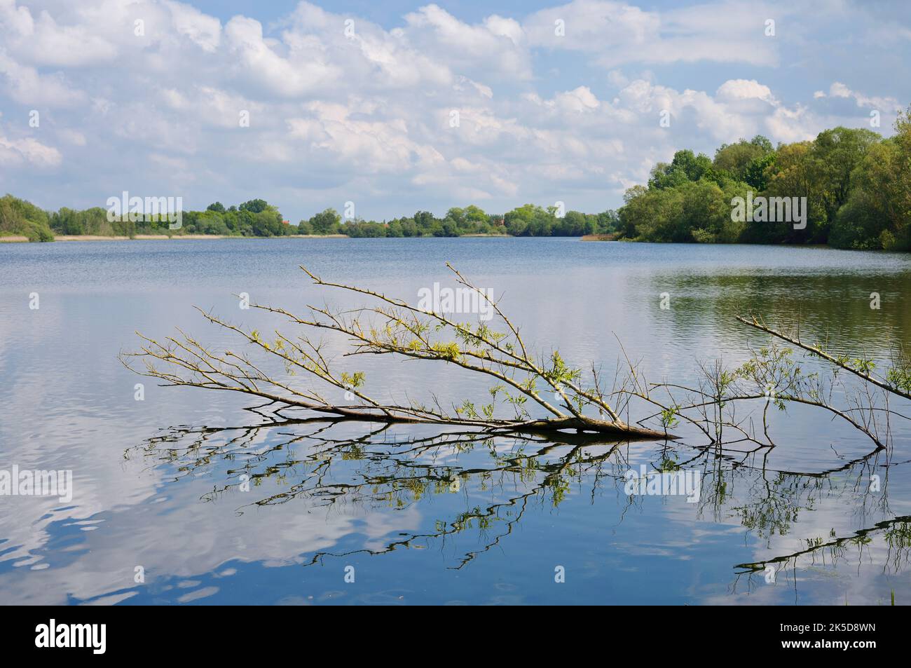 Hoge dijken hi-res stock photography and images - Alamy
