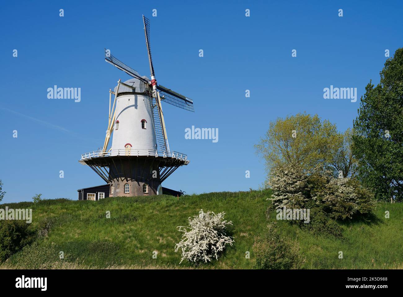 Walcheren holland niederlande hi-res stock photography and images - Alamy