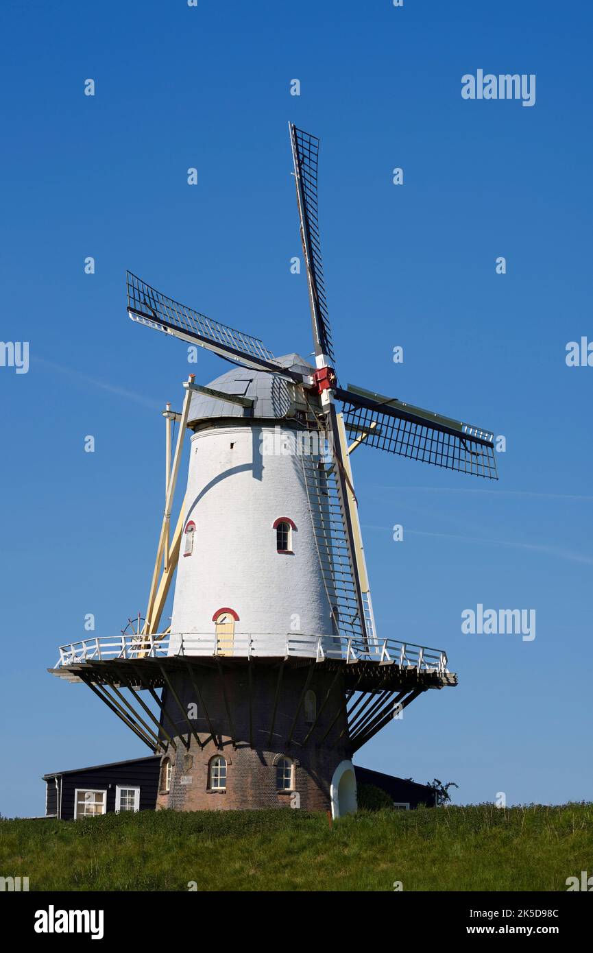Walcheren holland niederlande hi-res stock photography and images - Alamy