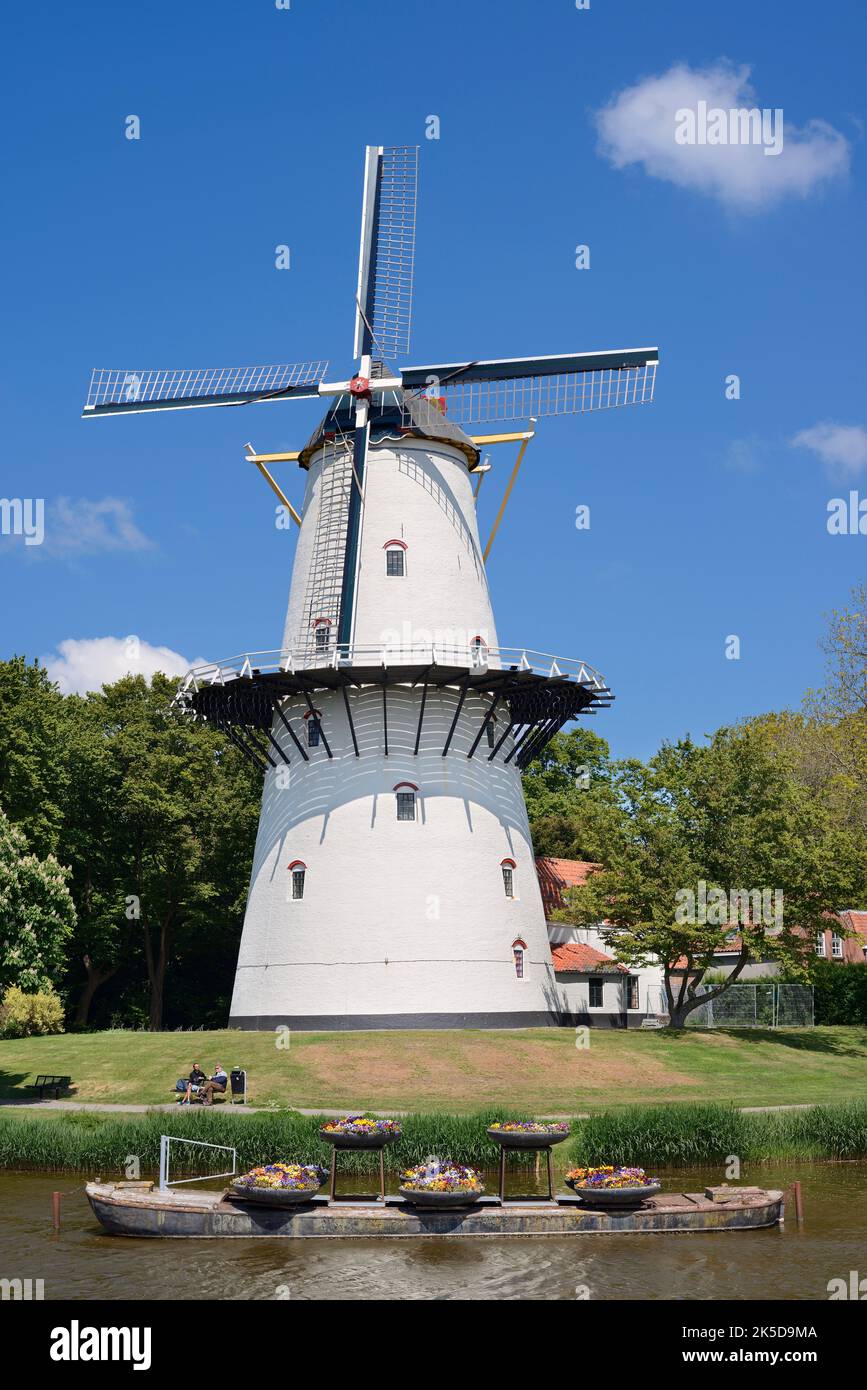 Walcheren holland niederlande hi-res stock photography and images - Alamy