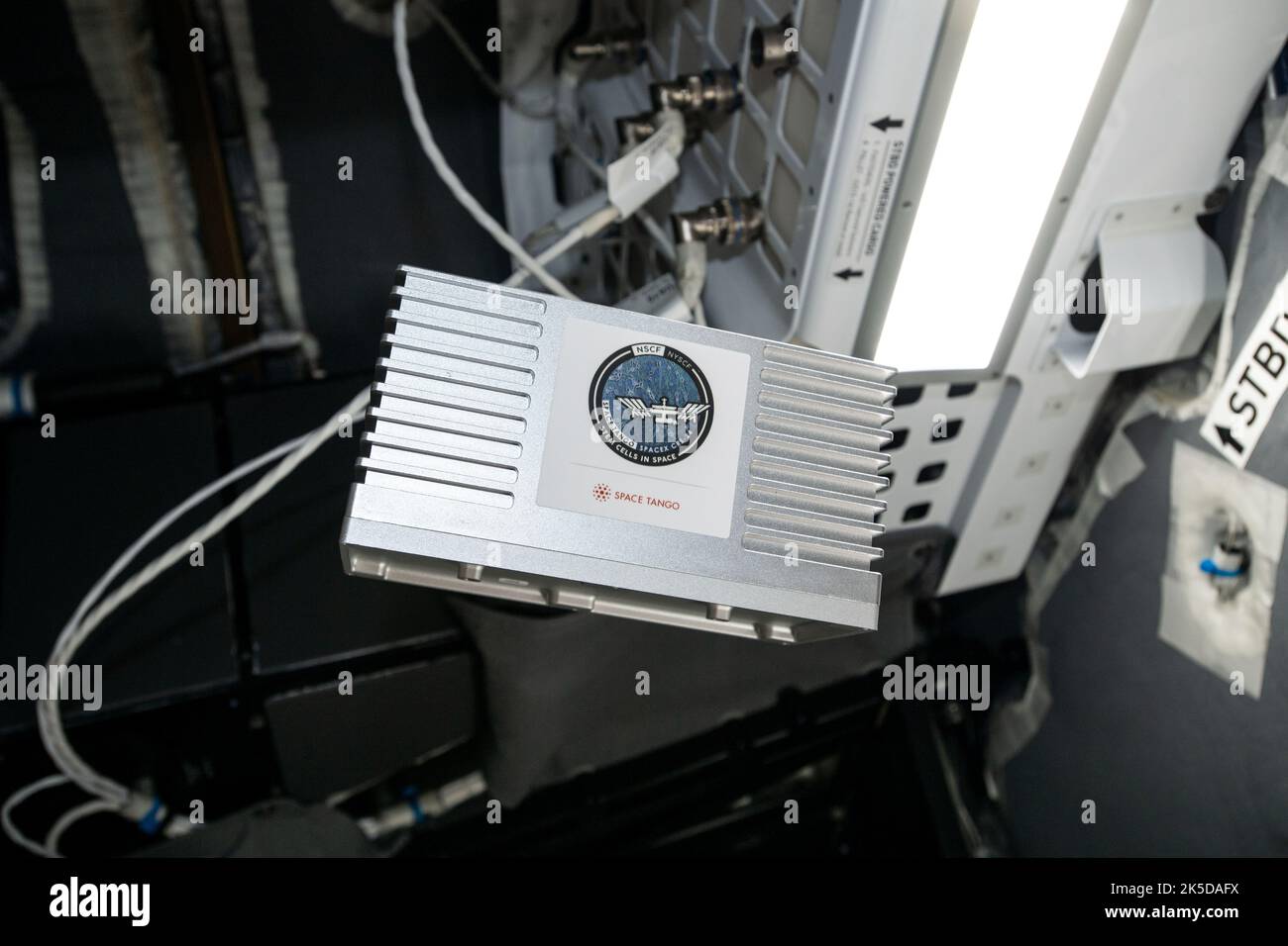 The Cosmic Brain Organoids CubeLab aboard the ISS investigates ...