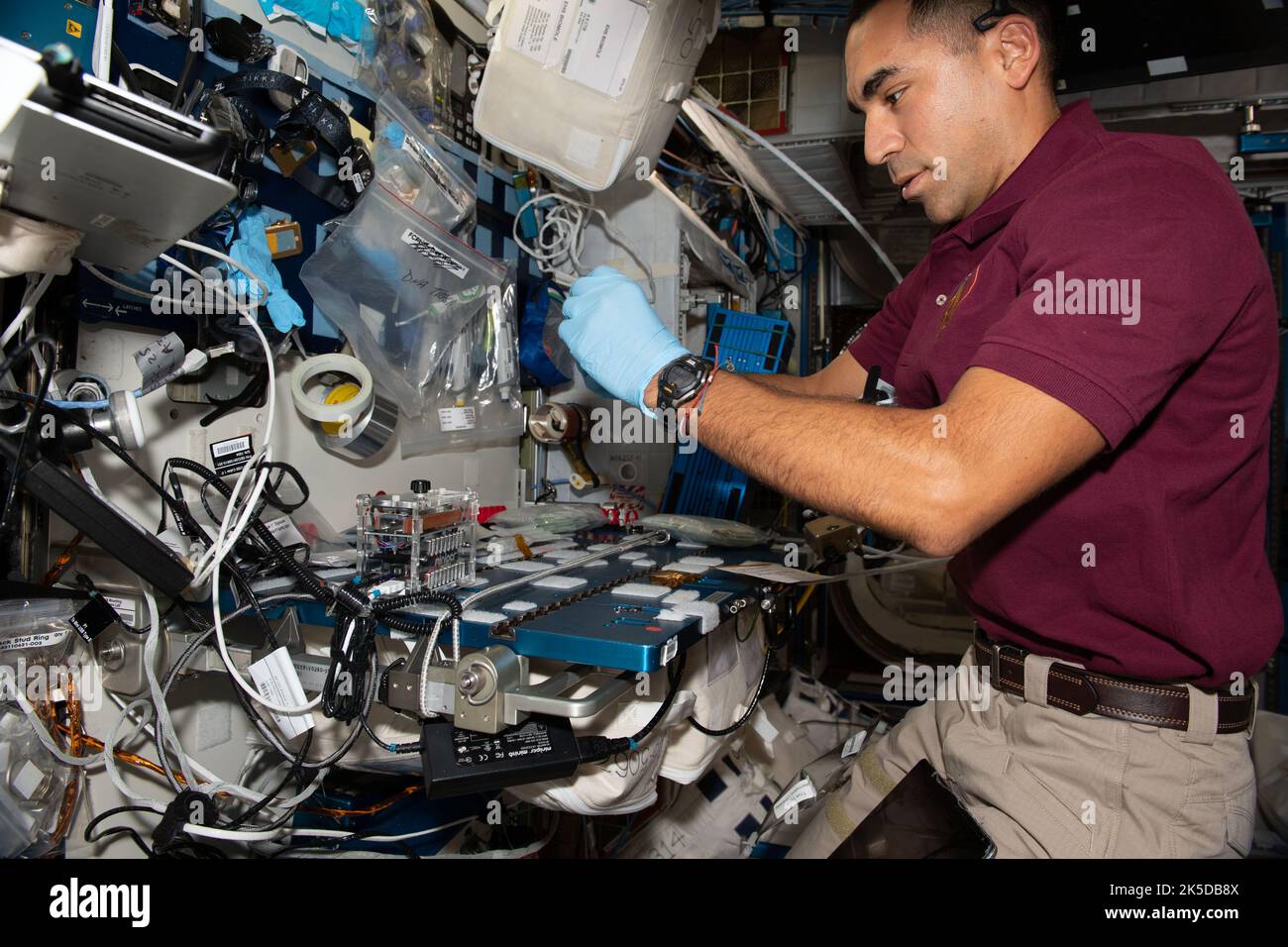 Sequences of dna hi-res stock photography and images - Alamy