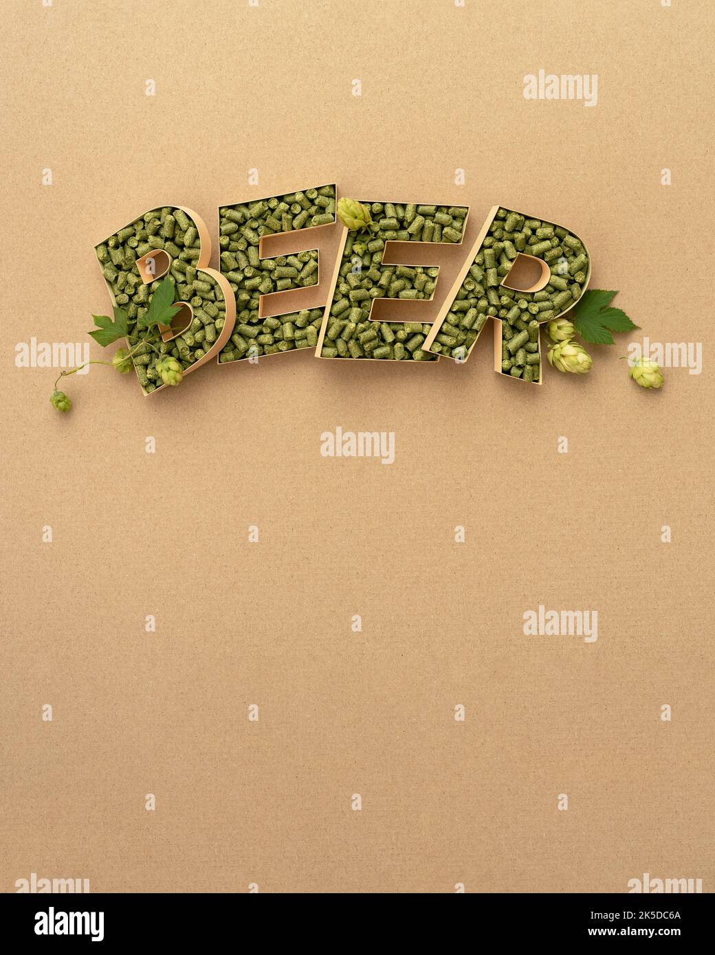 Beer craft festival hi-res stock photography and images - Alamy