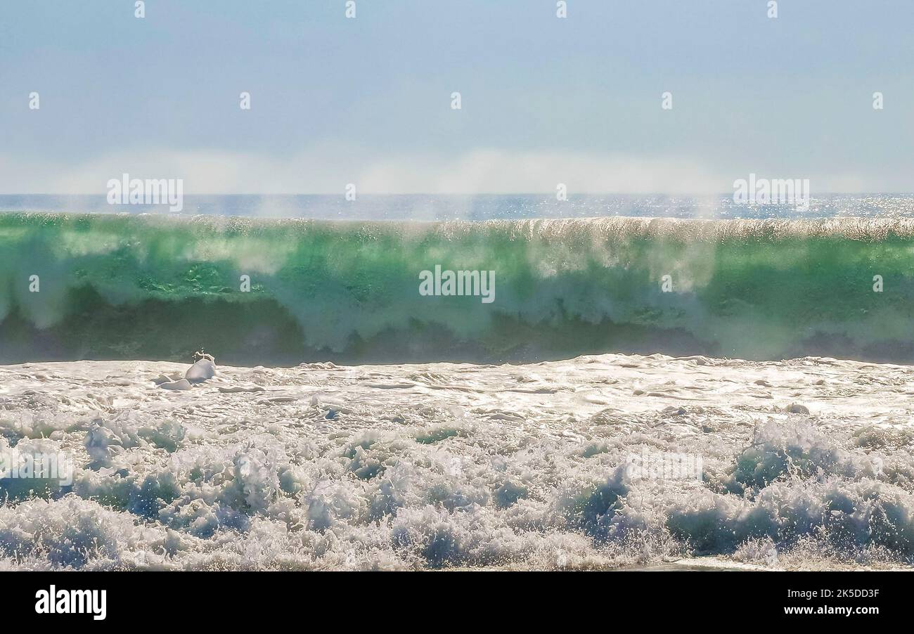 Extremely huge big surfer waves on the beach in Zicatela Puerto ...