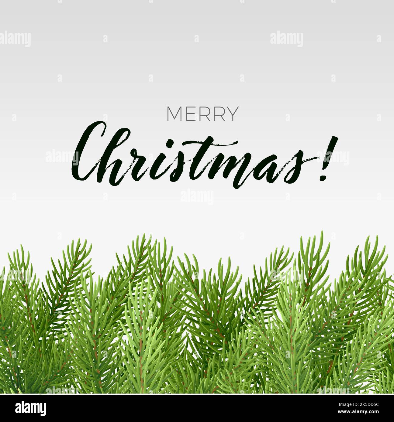 Simple Christmas design with spruce branches and lettering on a light ...