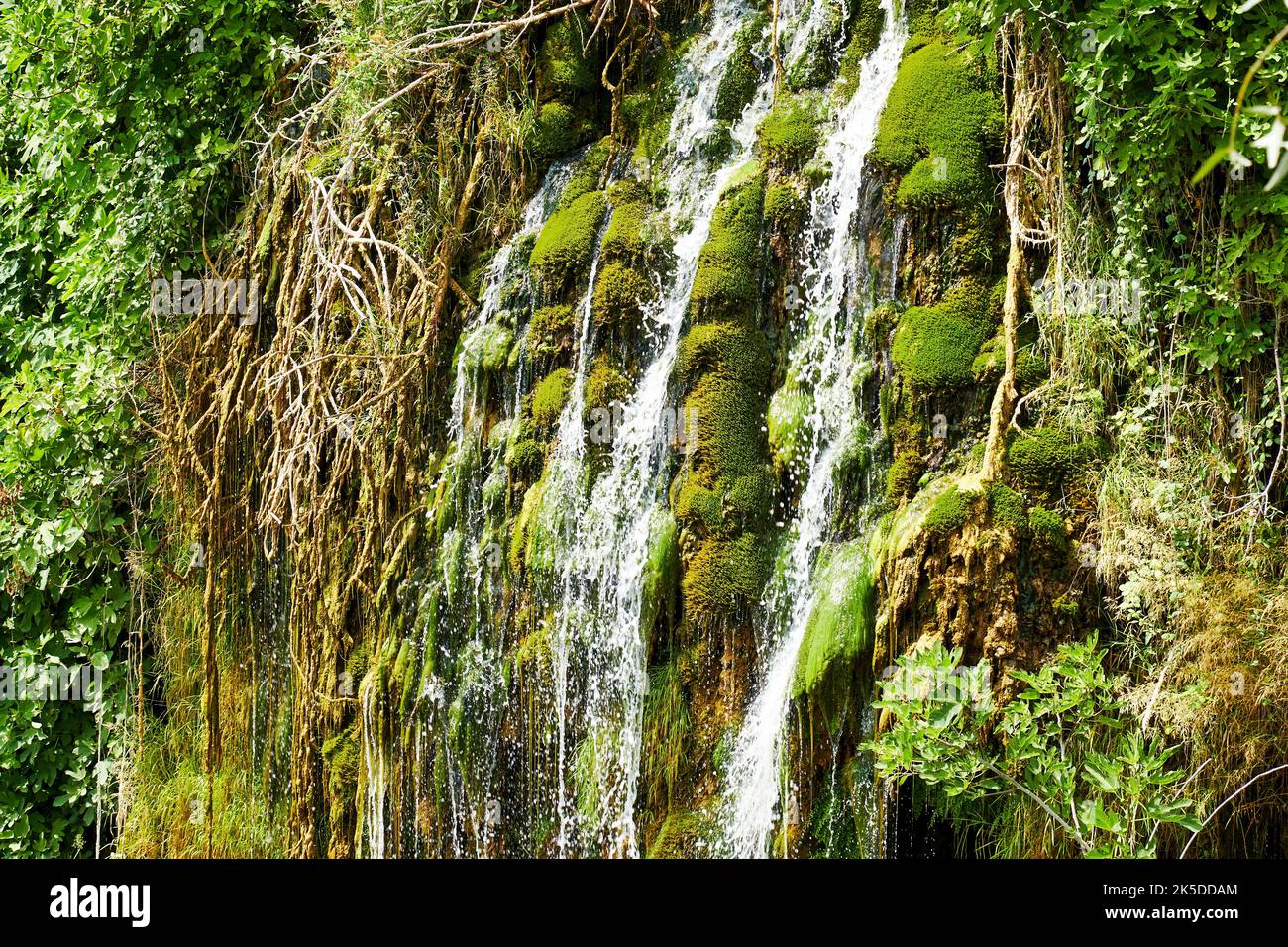 Small waterfall stream over the cliff in the jungle. Rainforest nature ...
