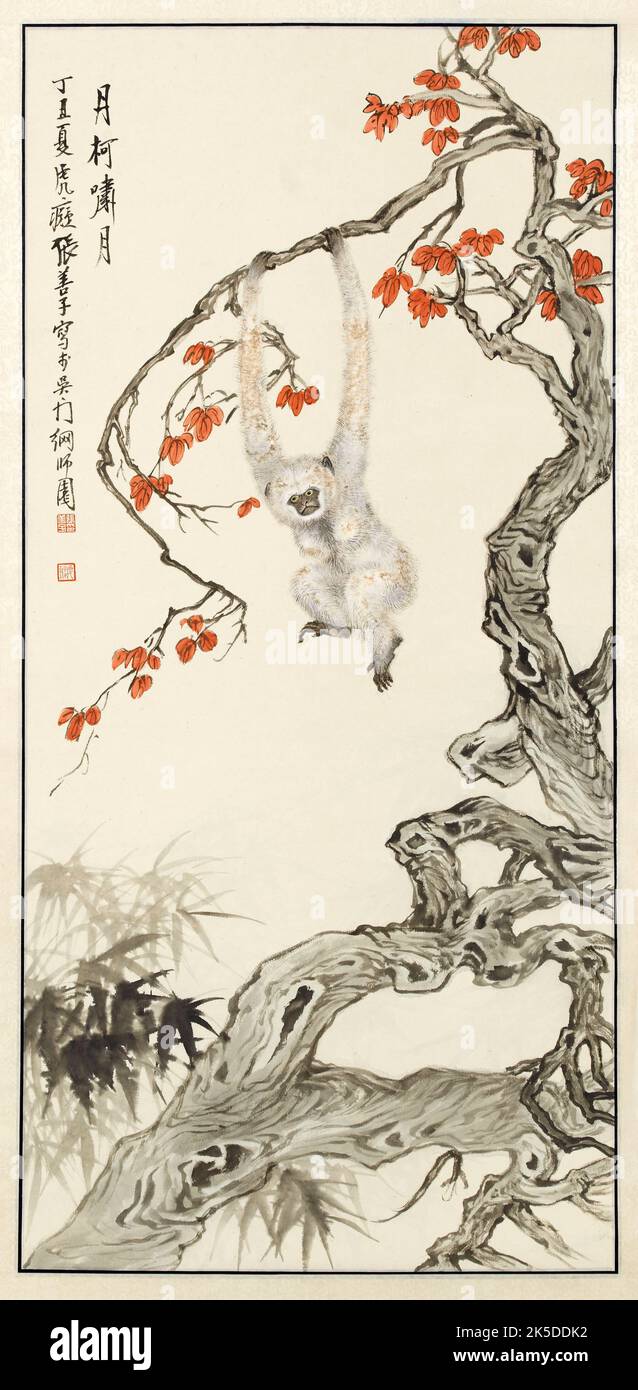 White monkey, 1937 Stock Photo - Alamy