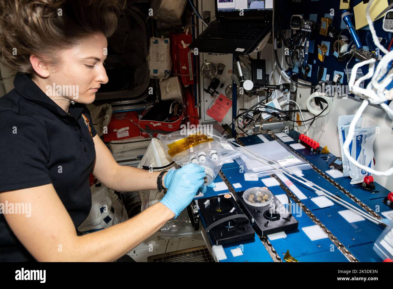 NASA astronaut and Expedition 66 Flight Engineer Kayla Barron harvests ...