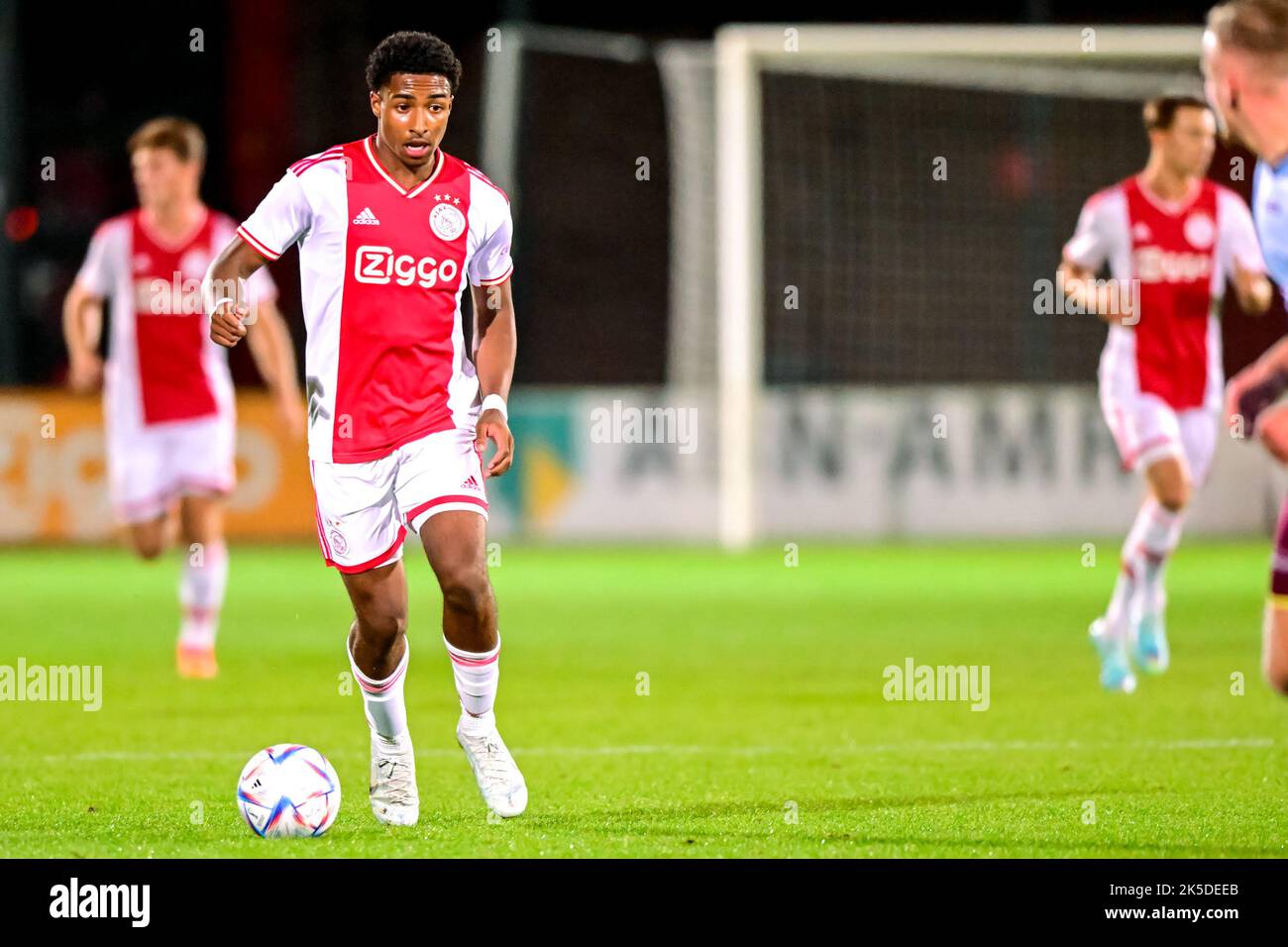 Silvano vos hi-res stock photography and images - Alamy