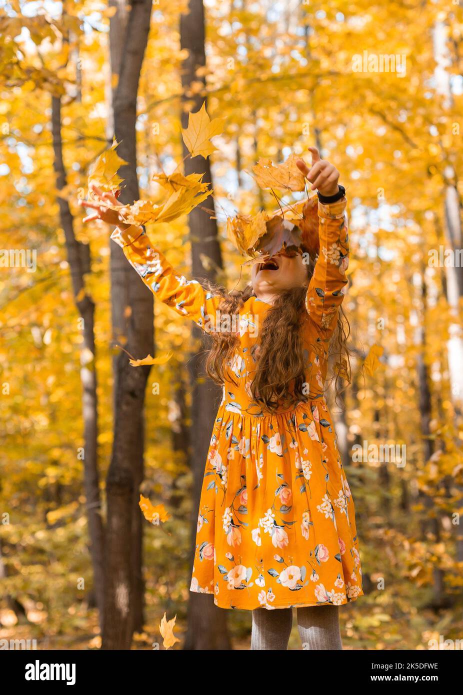 happy child girl throws autumn leaves and laughs outdoors - fall and ...