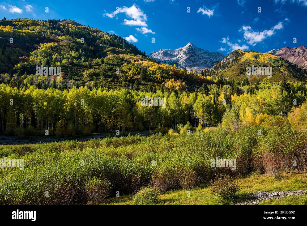 Granite mountains and autumn foliage. Wasatch Mountain range, American ...