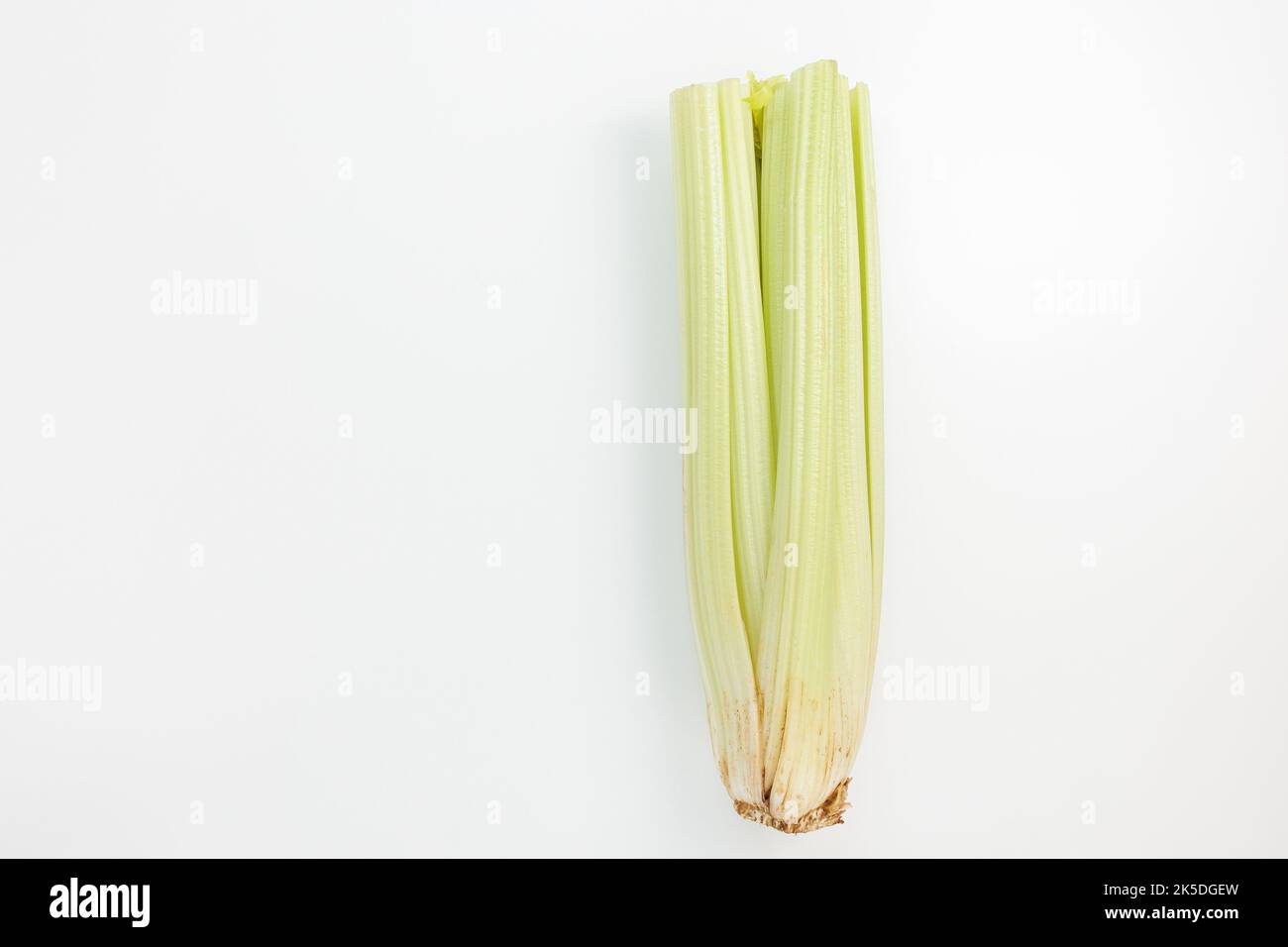 Celery plant with cutted leaves on white background, copy space ...