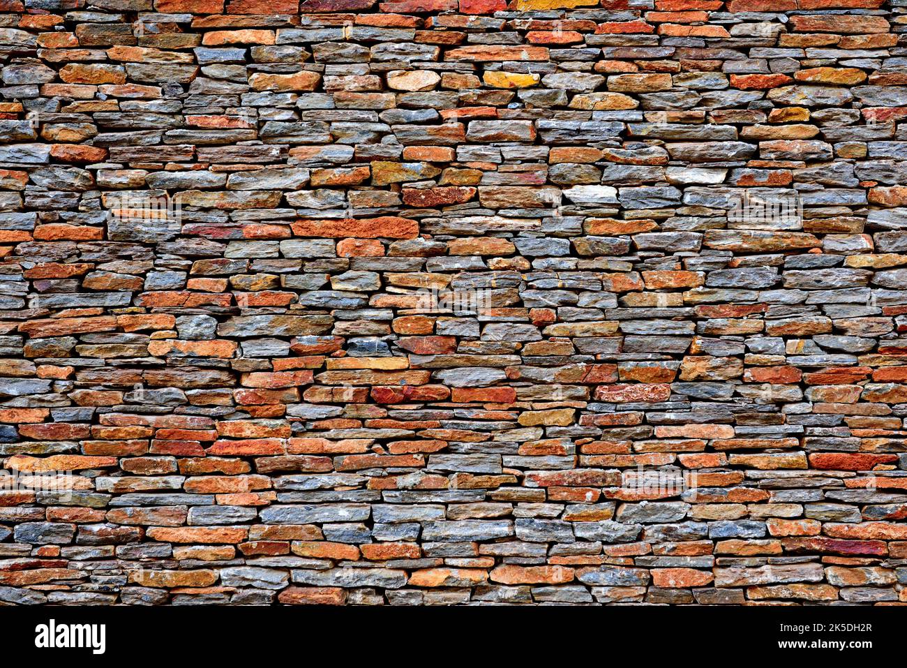 Odd Earth Colors Earthlings – Dragon Ball Universe