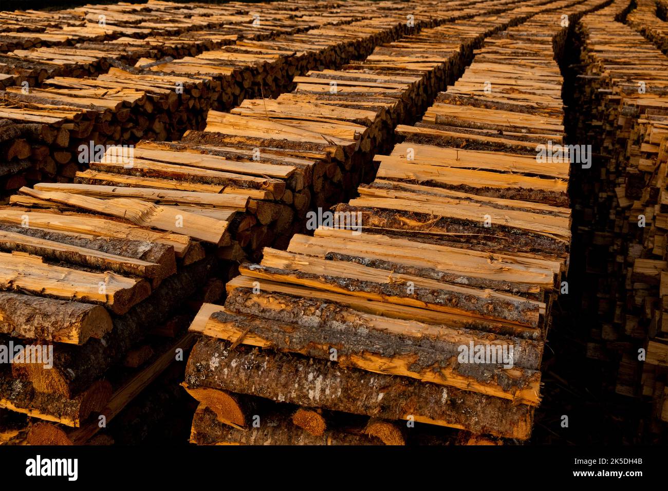 A closeup of wood processing, Forestry and building materials Stock ...