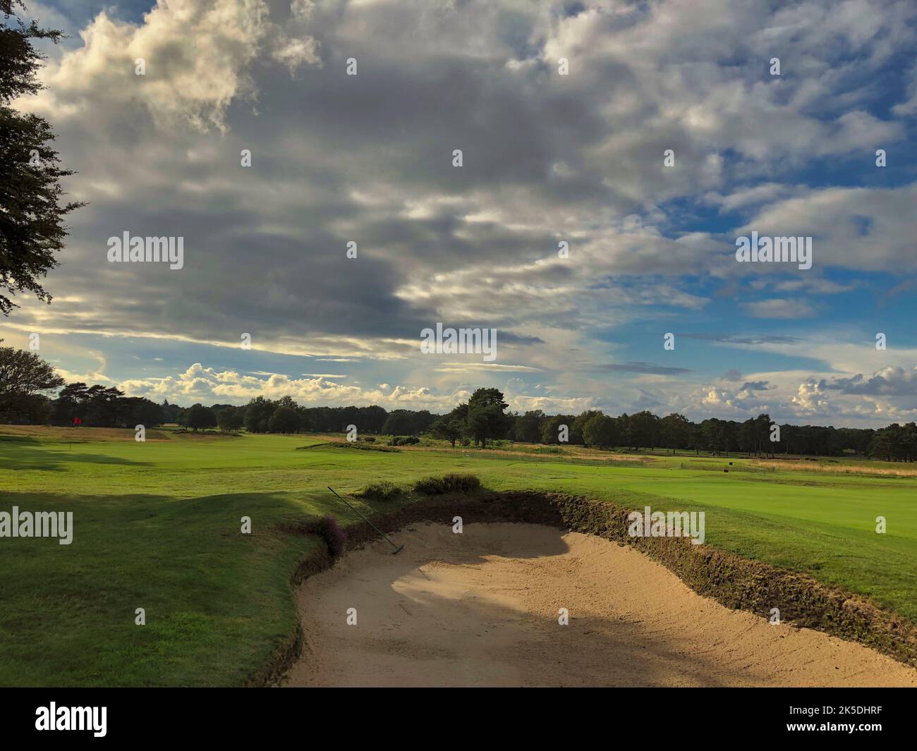 Walton heath golf course hi-res stock photography and images - Alamy