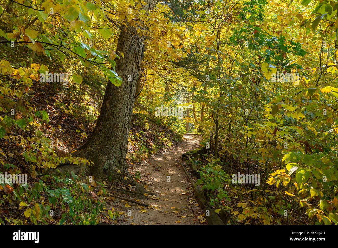 Hiking trail through Fall landscape at Starved Rock State Park ...