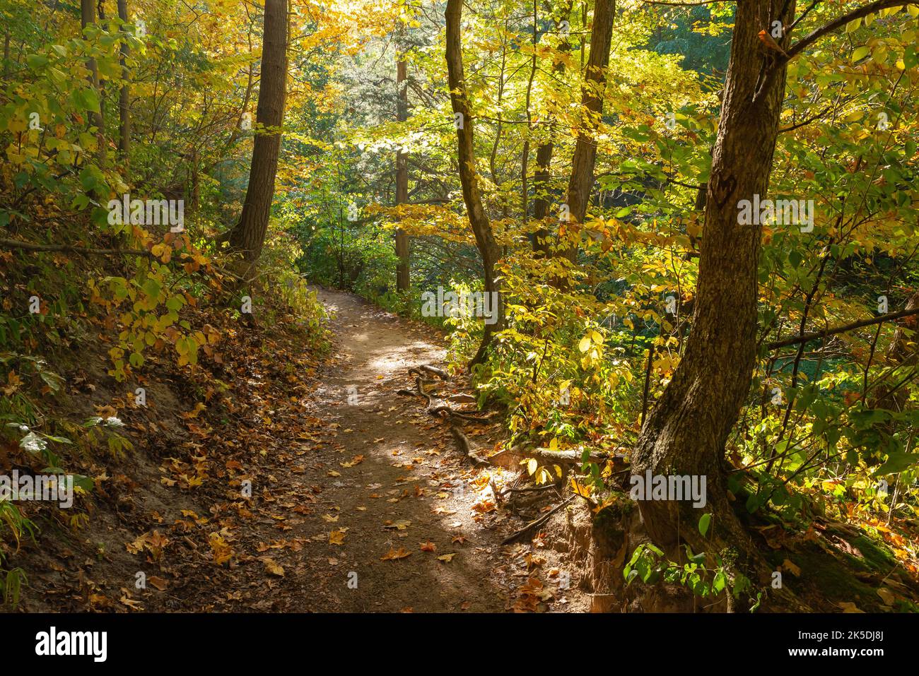 Hiking trail through Fall landscape at Starved Rock State Park ...